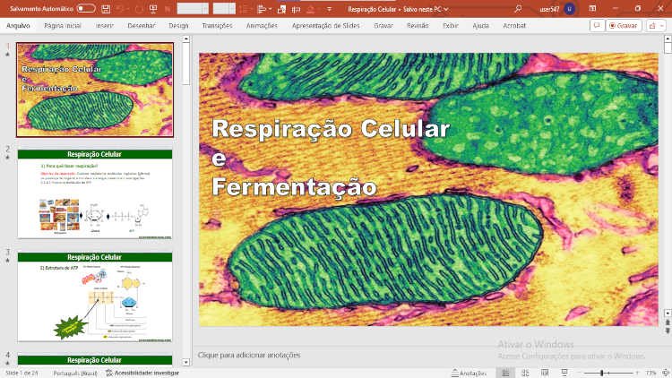 Divisão Celular - Aula em Slide PPTX - Planeta Biologia